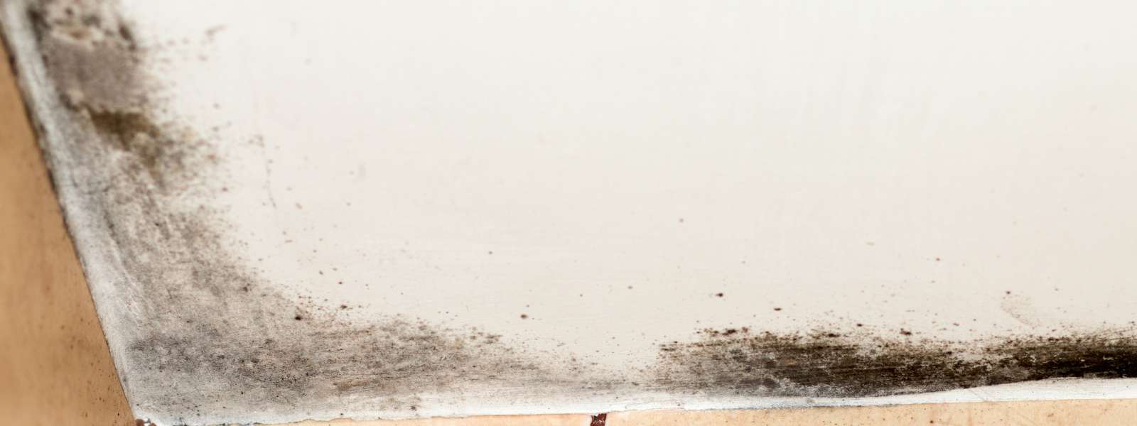 Health Effects of Mould Exposure